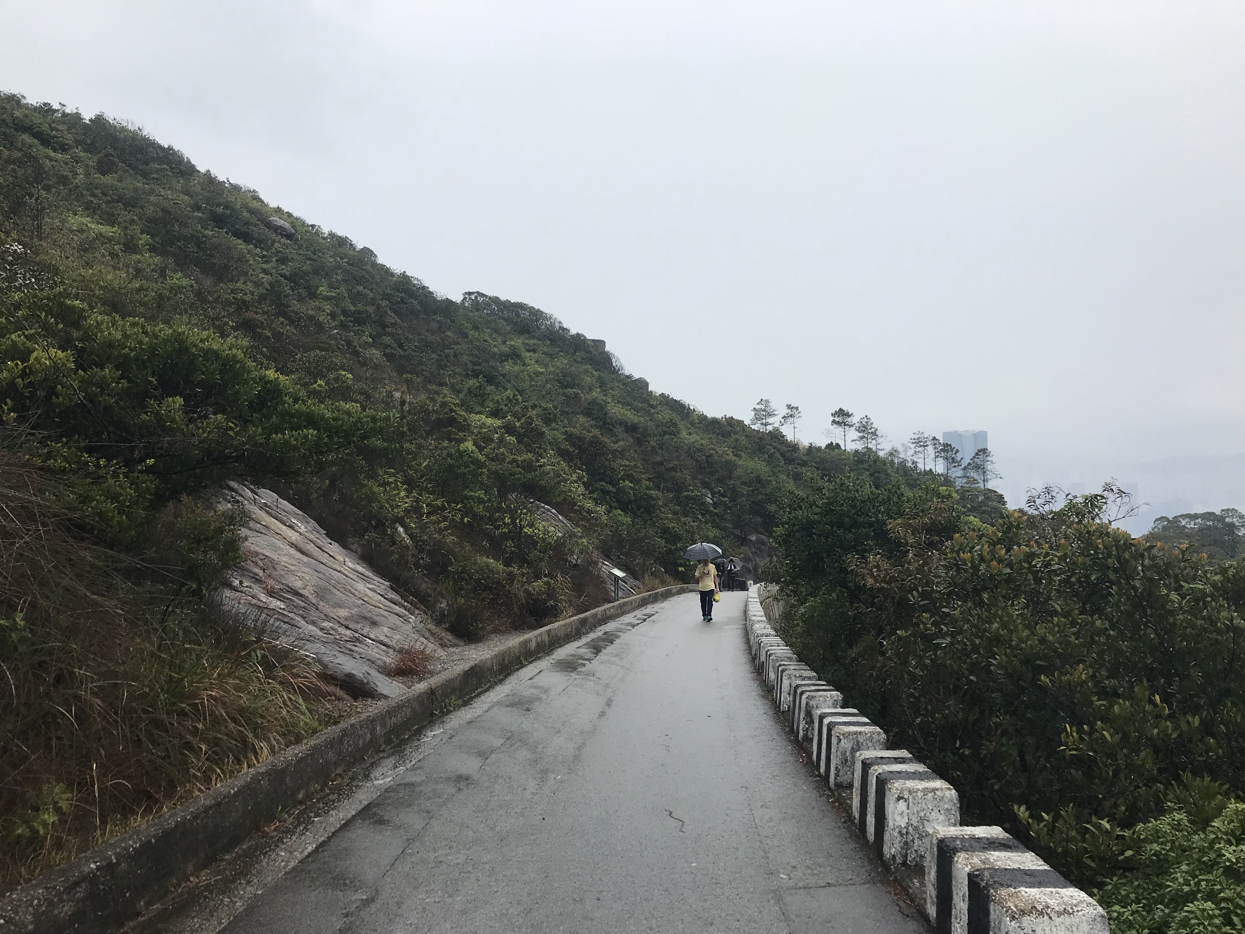 Mount Parker – Up Mount Butler