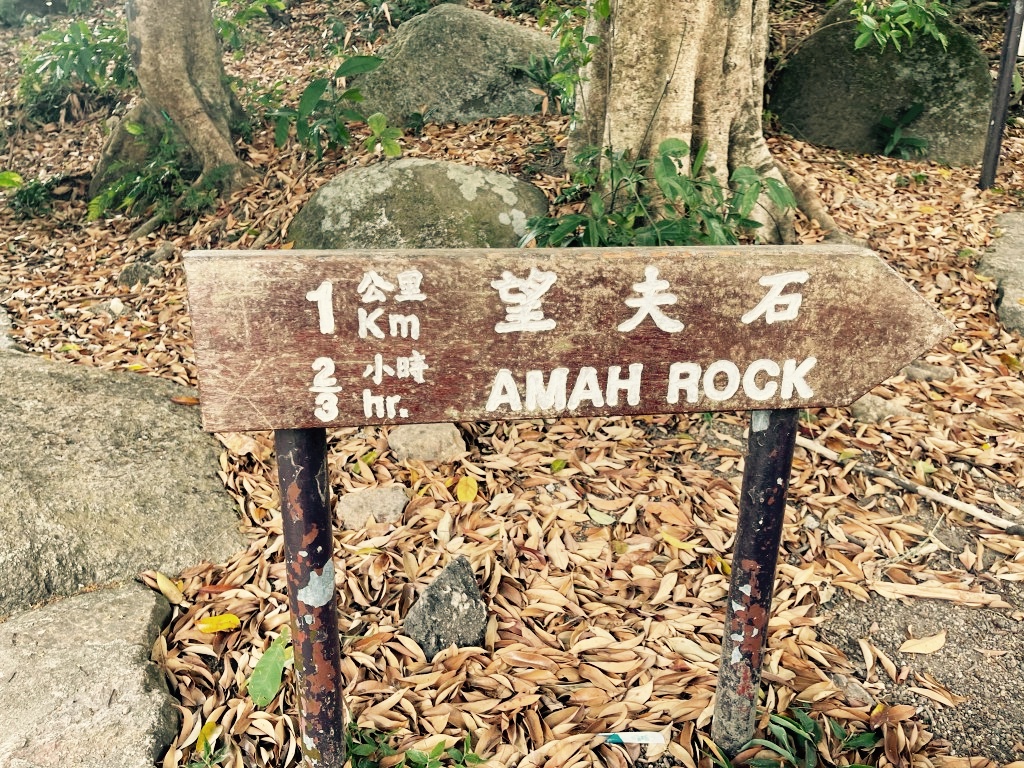 Amah Rock ~ Medium